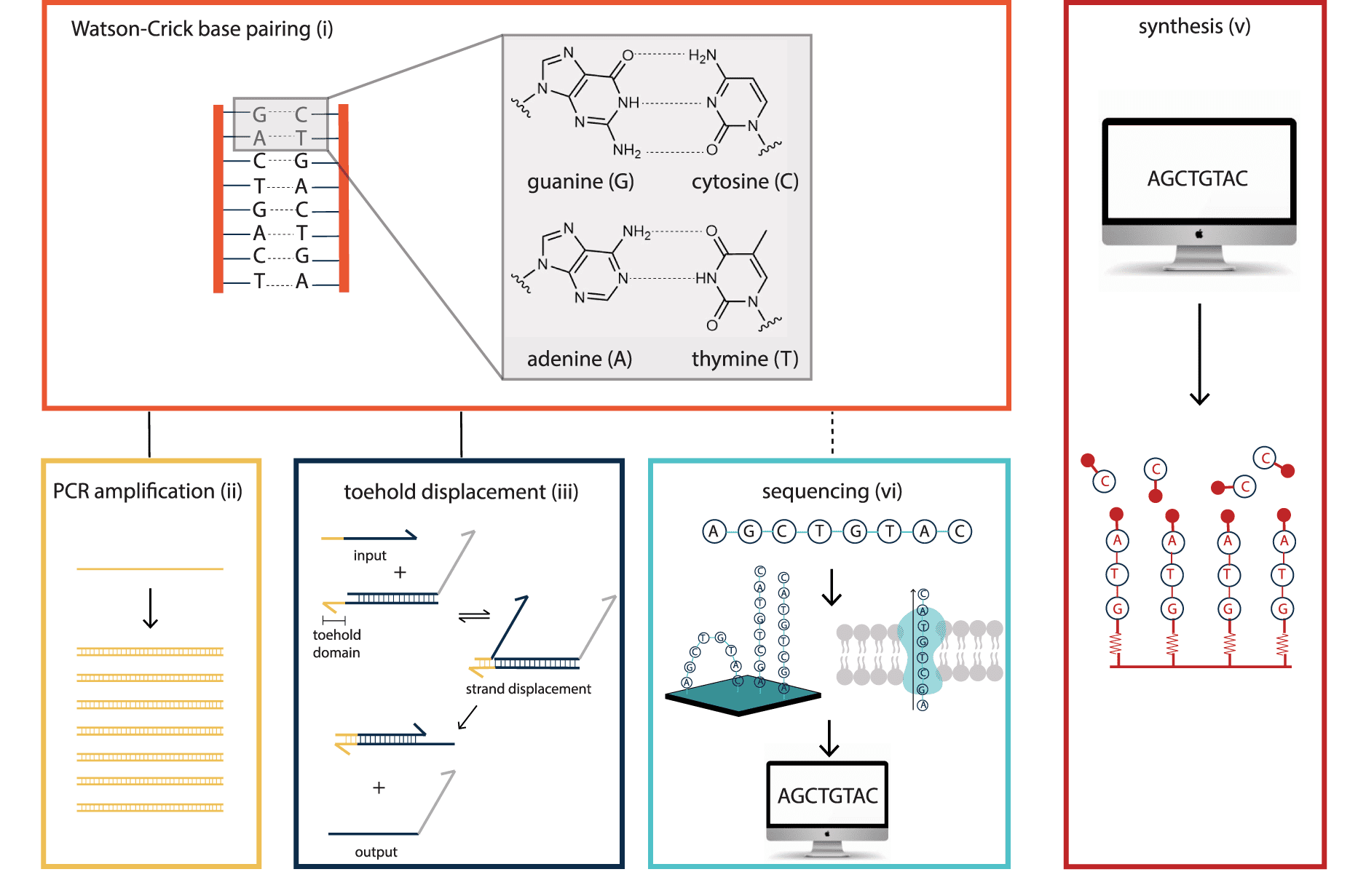 Top 7 Applications of Synthetic DNA in Information Technology - CBIRT