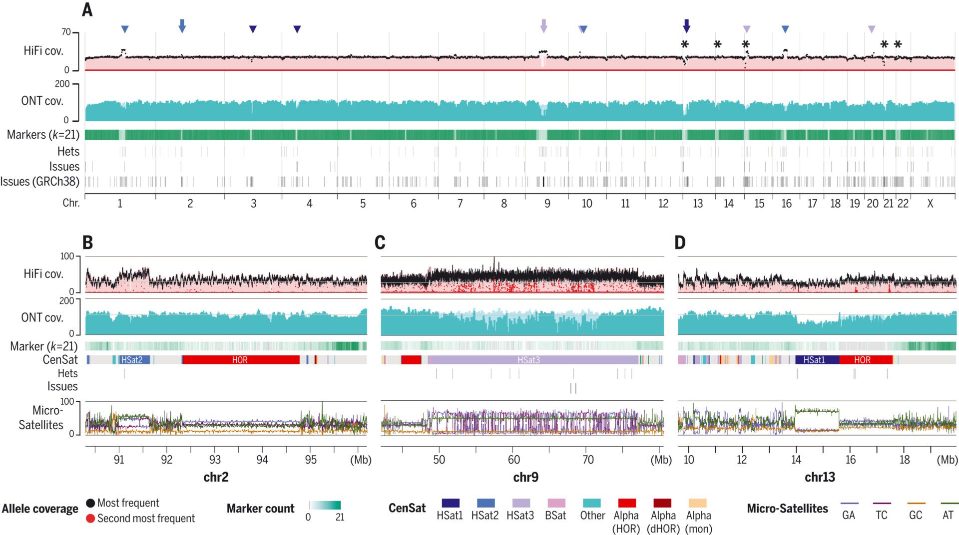 Scientists Revealed the First Complete, Gapless Human Genome Sequence ...