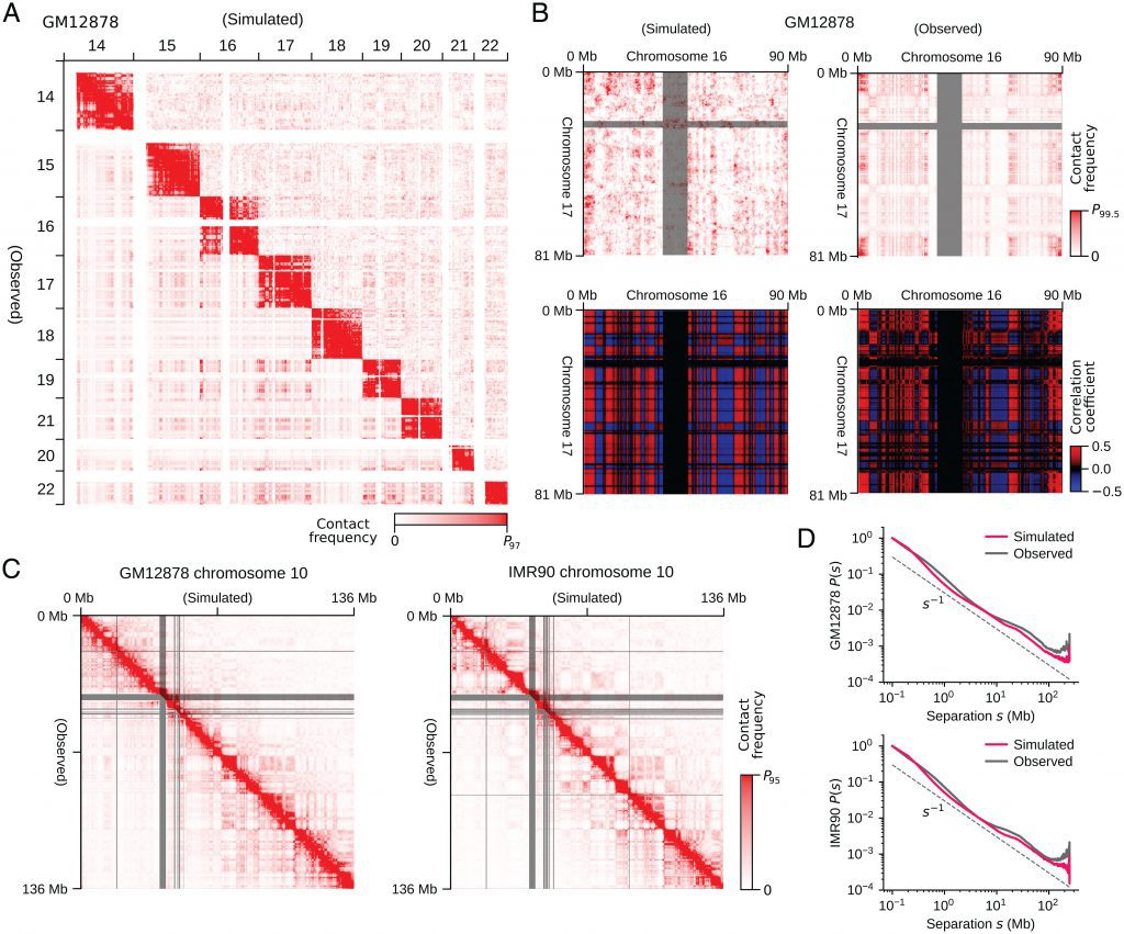 Applying 3D Computational Simulation to Reveal the Secrets of the ...