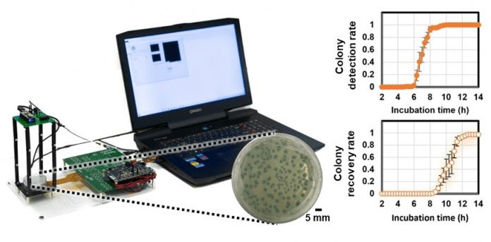 AI-Powered Innovative Bacterial Colony Detection System Using a Thin ...