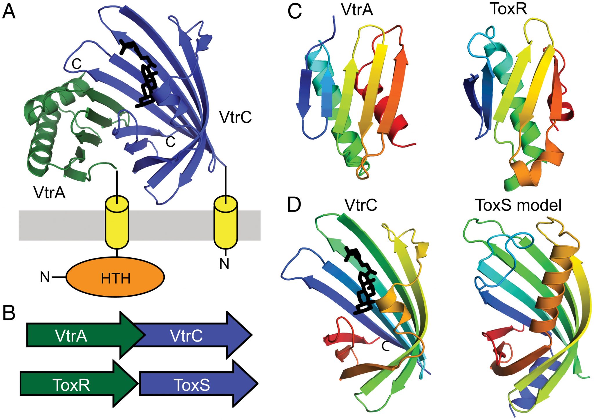 Co-component Signal Transduction Systems Identified in Bacteria - CBIRT