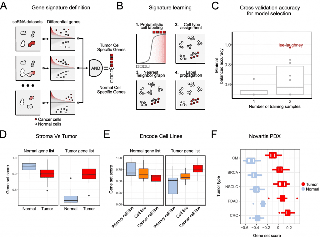 A New Machine Learning Algorithm 'Ikarus' Identifies Tumor Cells at the ...