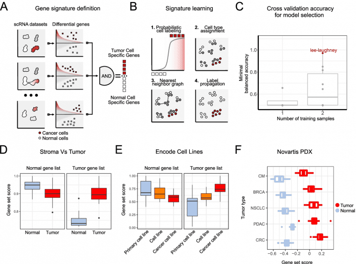 A New Machine Learning Algorithm 'Ikarus' Identifies Tumor Cells at the ...