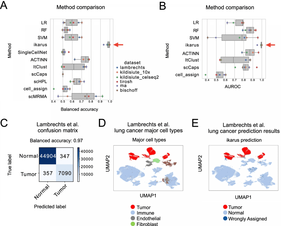 A New Machine Learning Algorithm 'Ikarus' Identifies Tumor Cells at the ...