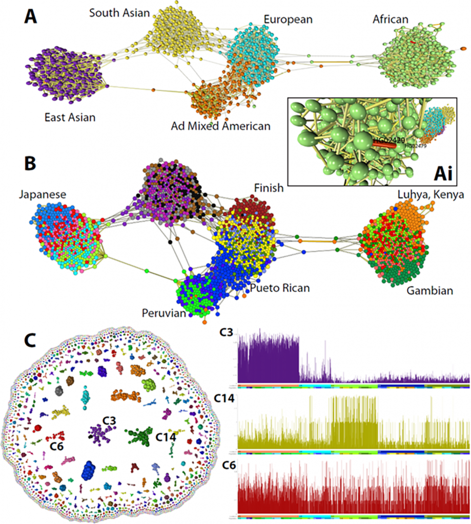 Graph Based Visualization And Analysis Of High Dimensional Data Using