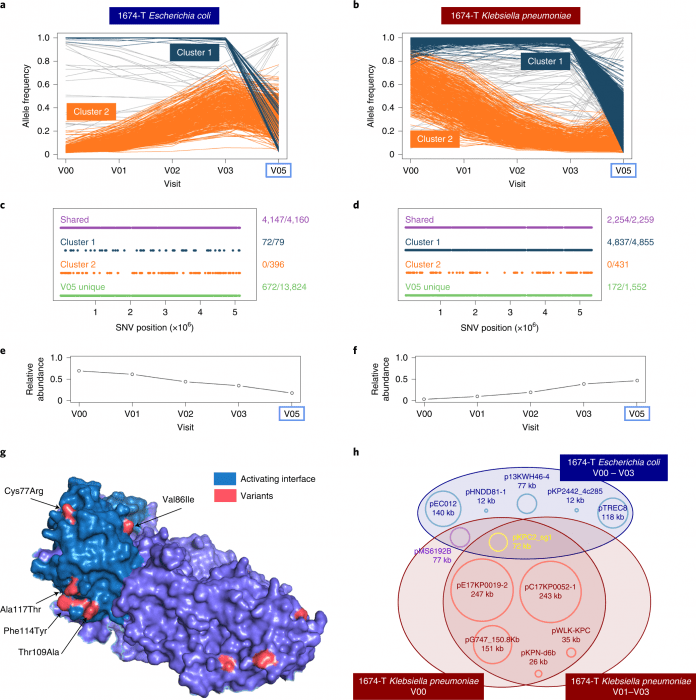 Understanding the Population Dynamics for AMR Burden due to ...