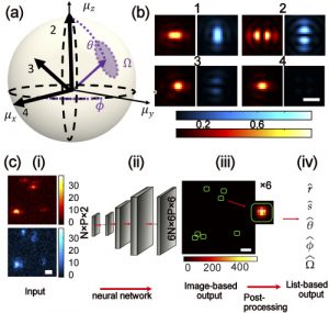 Meet Deep-SMOLM: A Machine Learning Algorithm for Generating 5D Images ...
