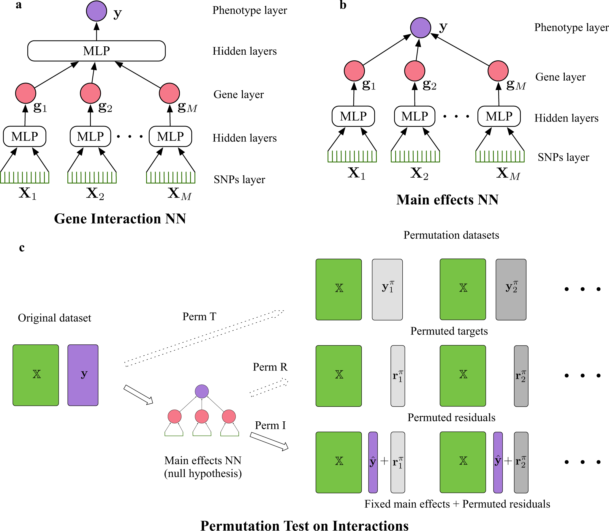 A Novel Deep Learning Framework Identifies Gene-Gene Interactions for a ...