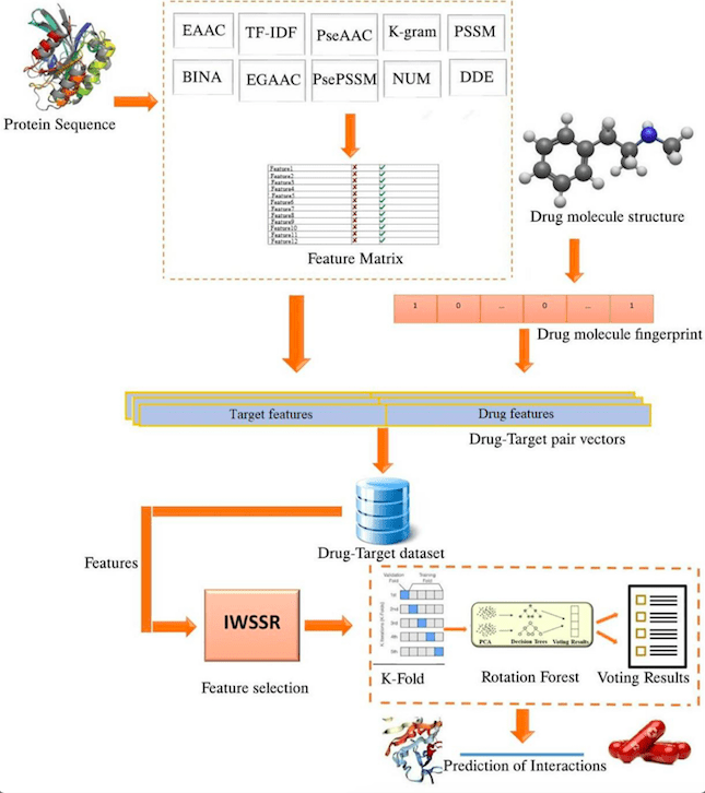Predicting Drug-target Interactions using Protein Features and Wrapper ...